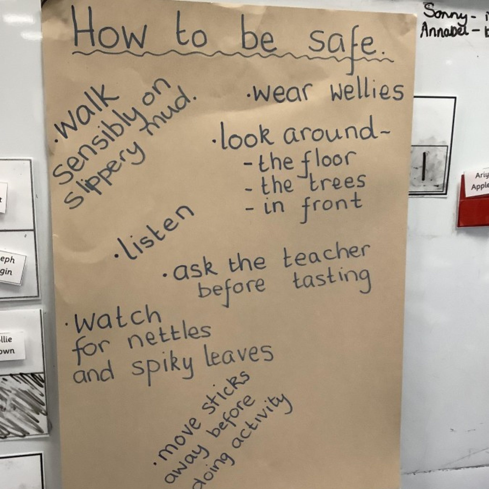 Forest School Safety – Harlow Green Community Primary School