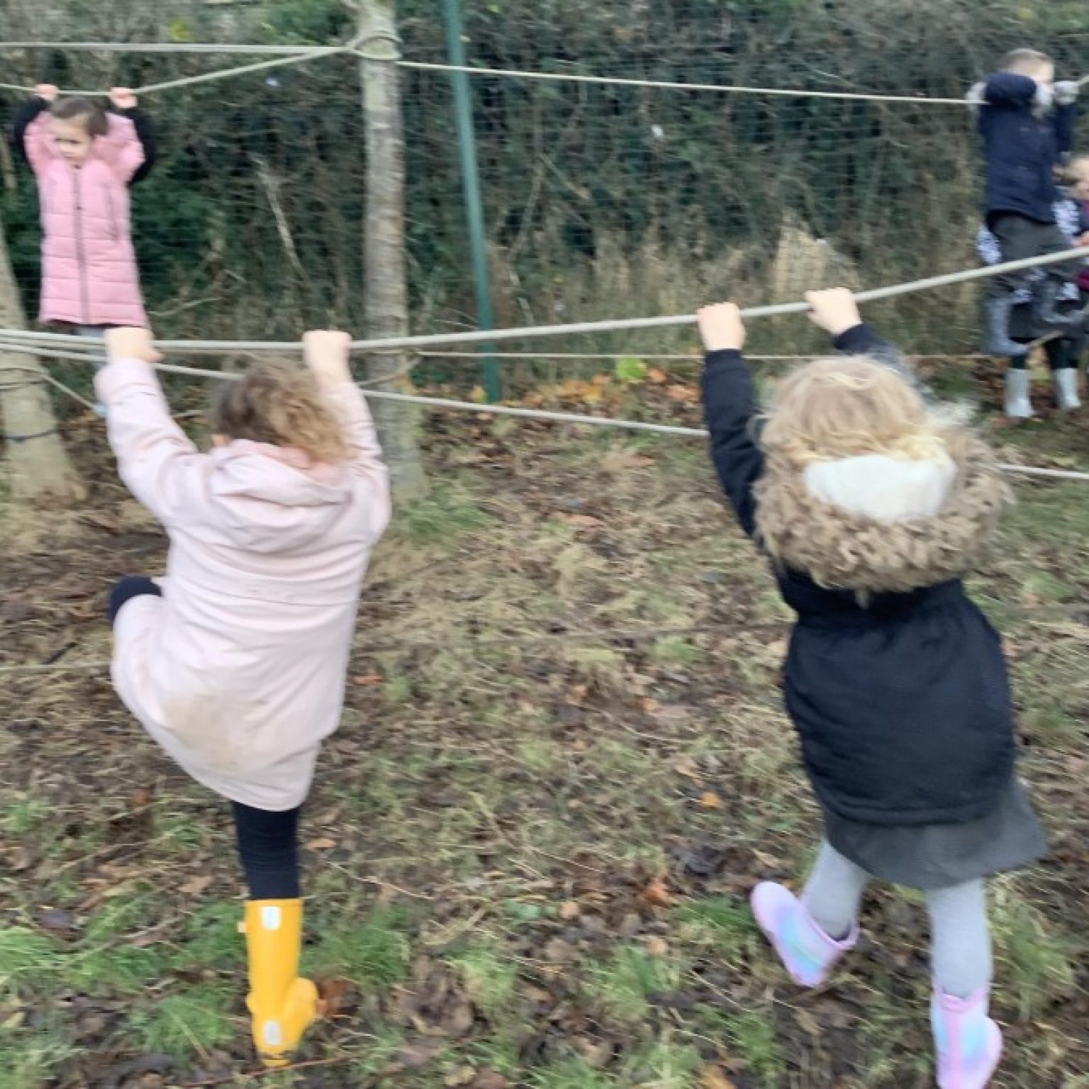 Forest School Safety – Harlow Green Community Primary School