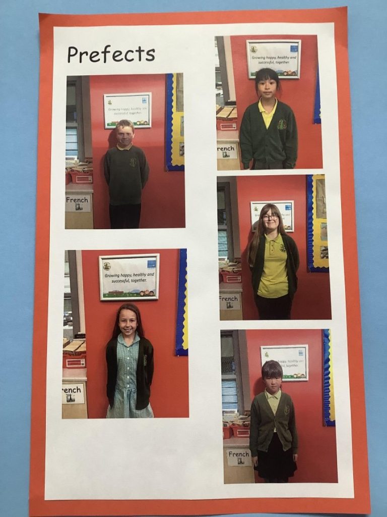 Year 6 Roles and Responsibilities – Harlow Green Community Primary School