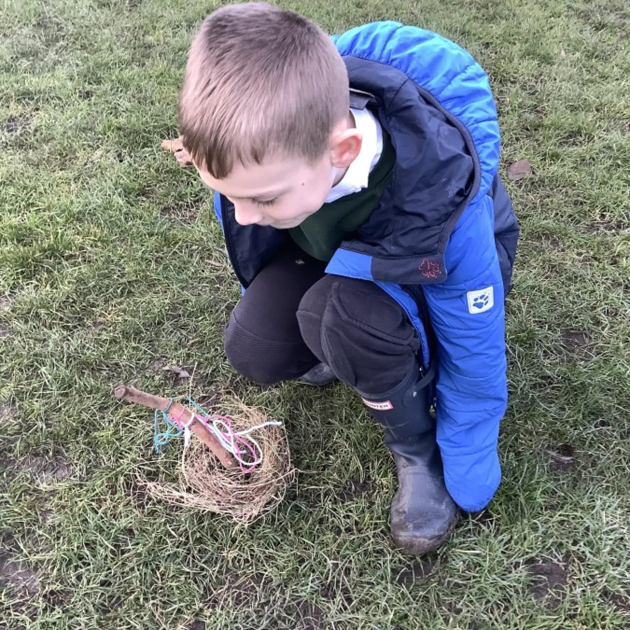 The Great Woolly Worm Hunt – Harlow Green Community Primary School