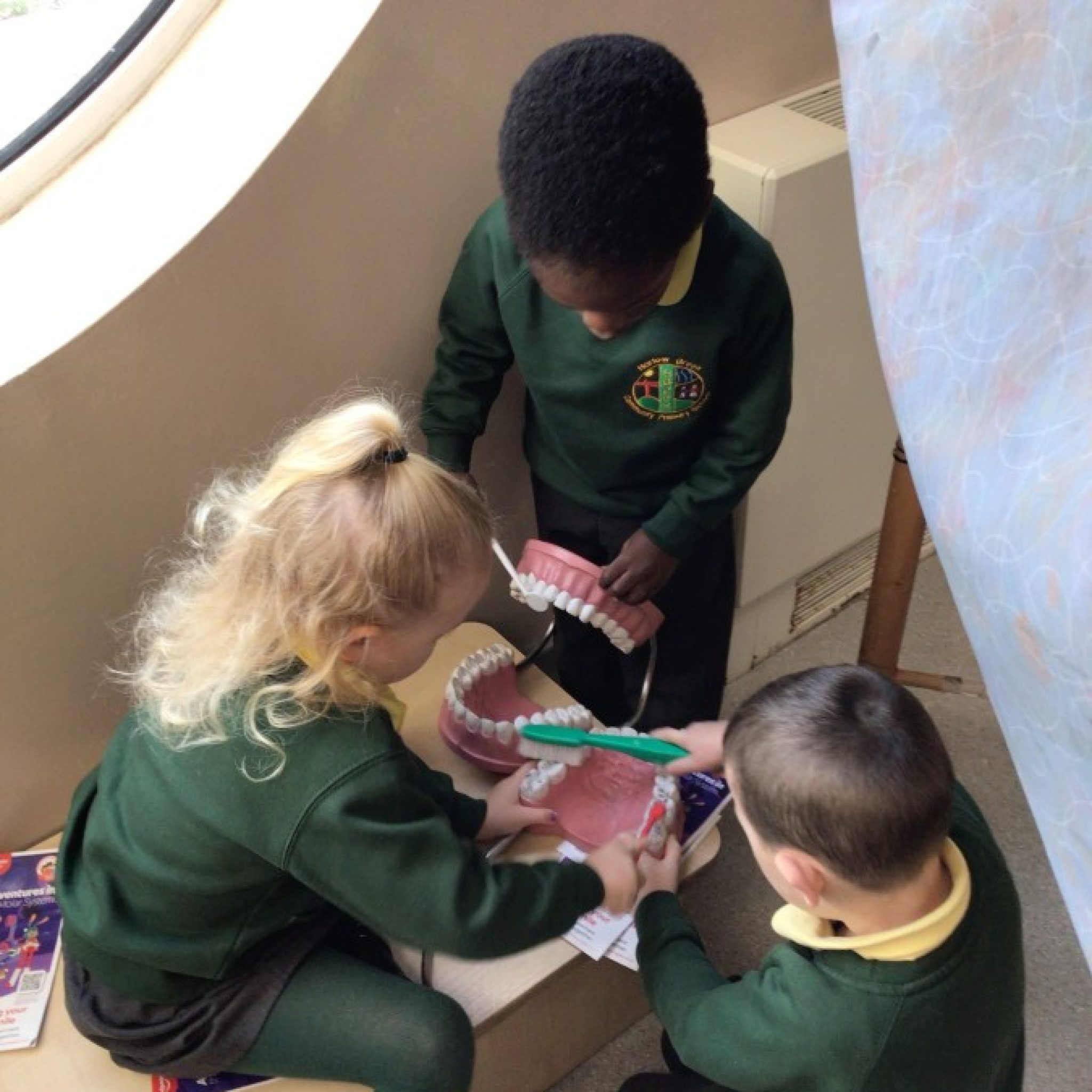 Oral hygiene – Looking after our teeth – Harlow Green Community Primary ...
