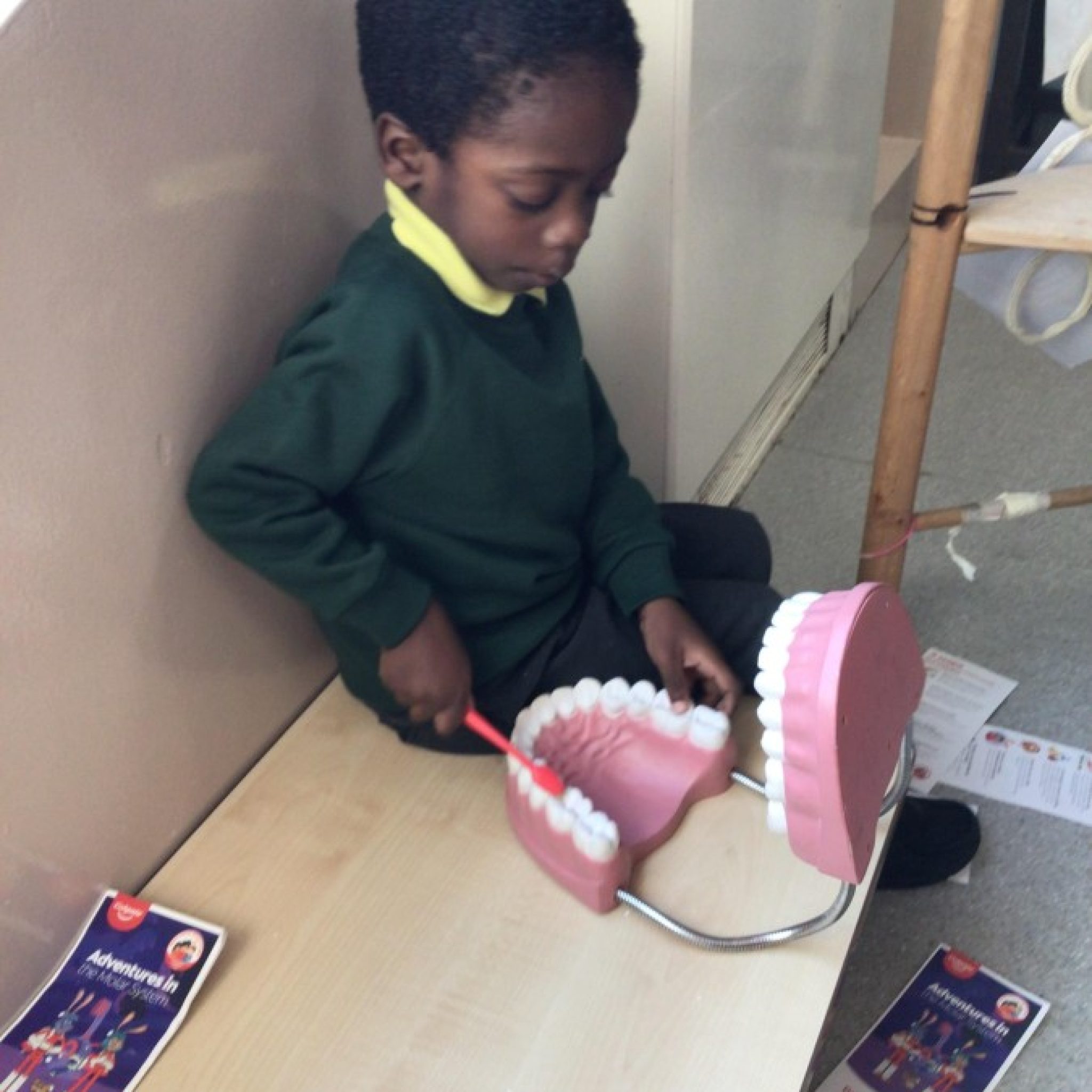 Oral hygiene – Looking after our teeth – Harlow Green Community Primary ...